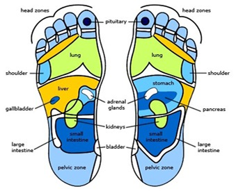Reflexology Basics | The Australian School of Reflexology